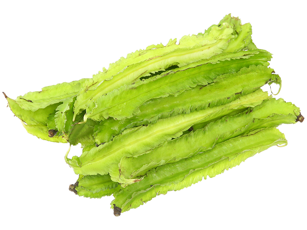 Mua bán sỉ lẻ Đậu rồng